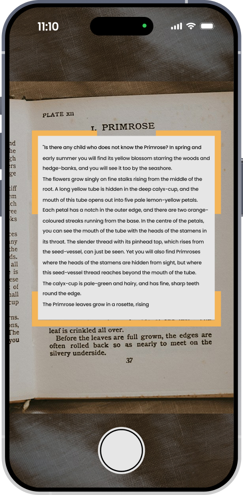 AI Voices - NaturalReader Home